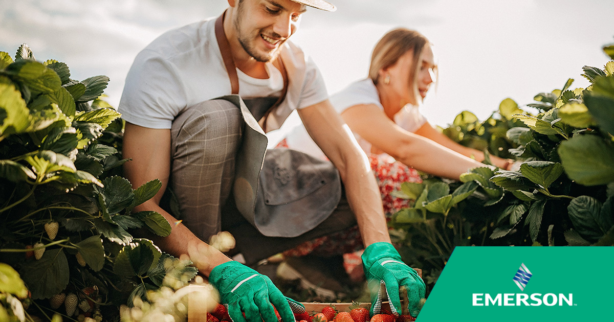 Addressing Increased Consumer Focus on Safety and Freshness